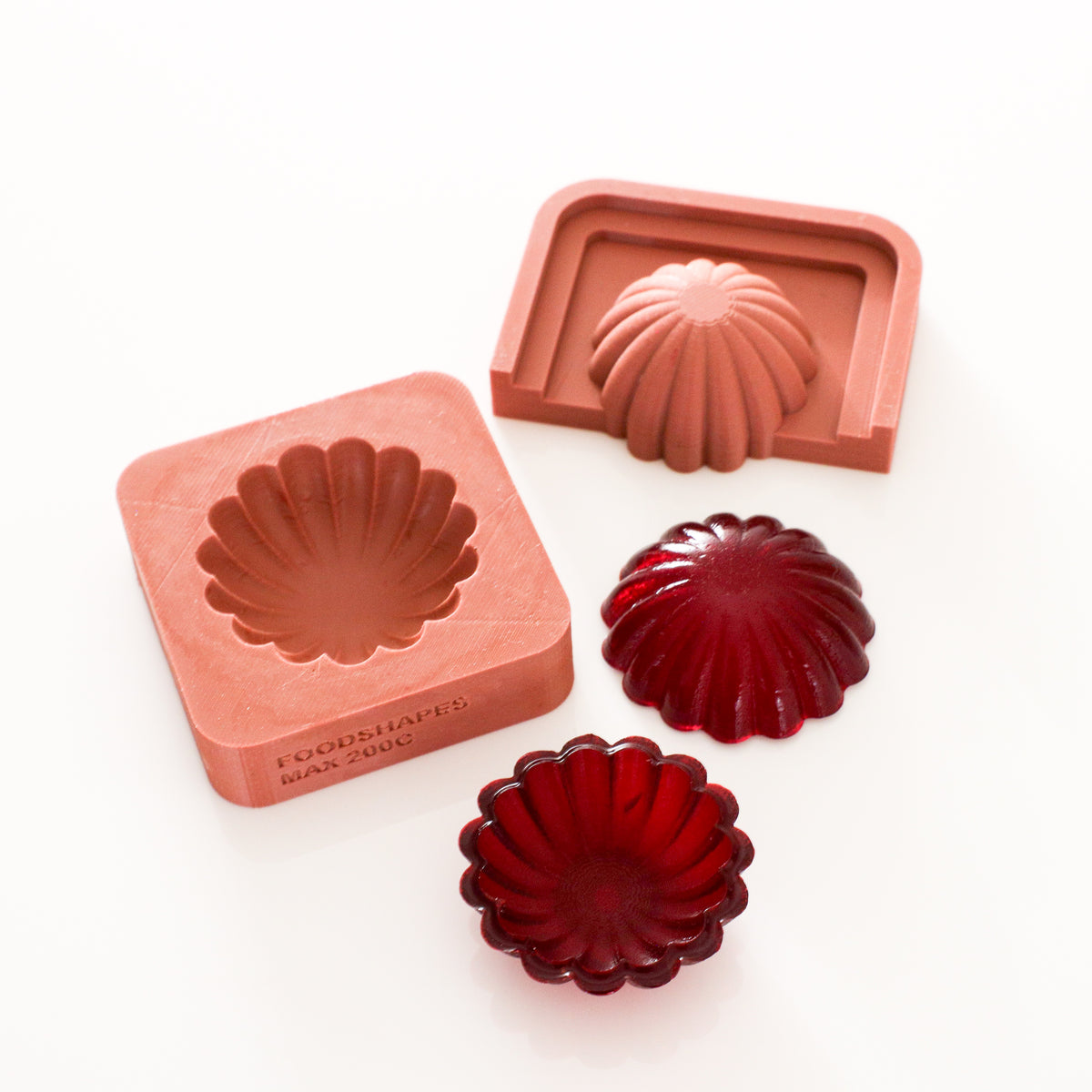 Tartelette ribbad Gelè – Food Shapes