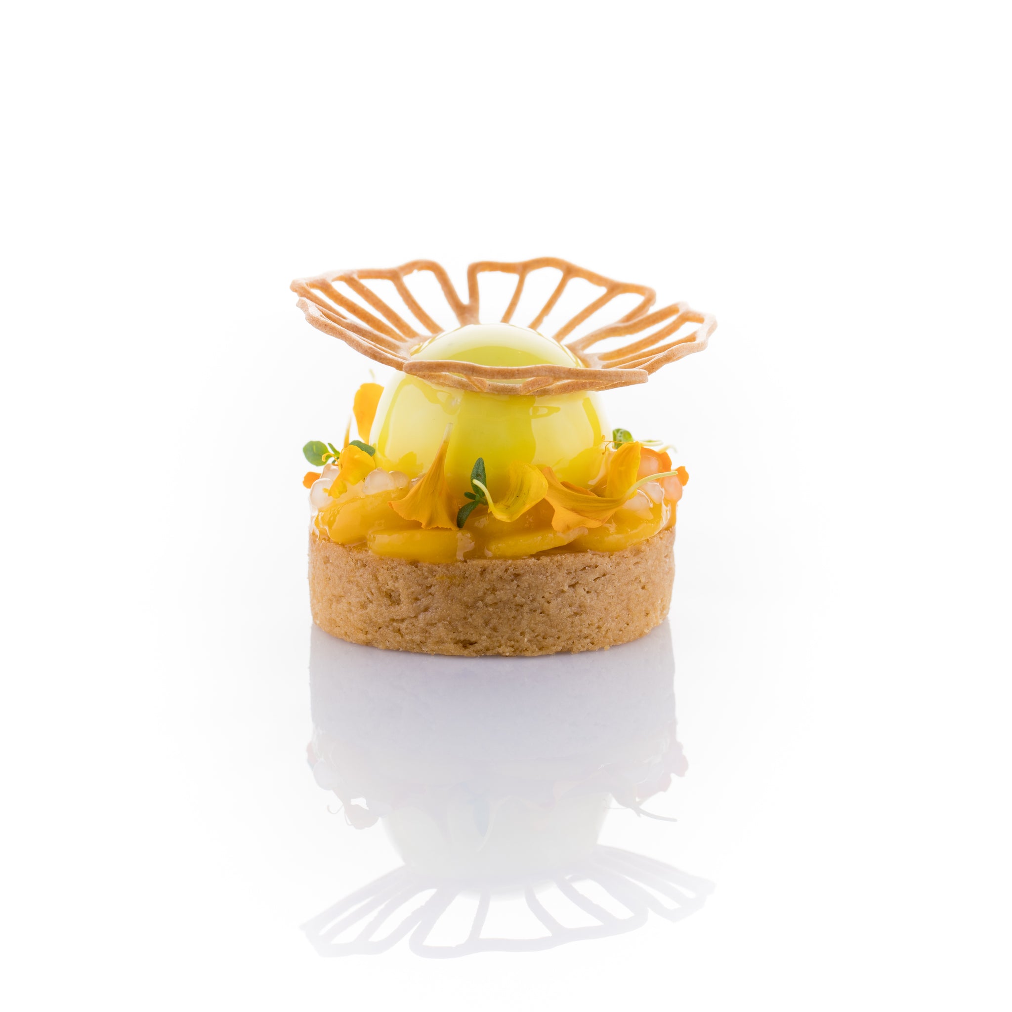 Products – Food Shapes